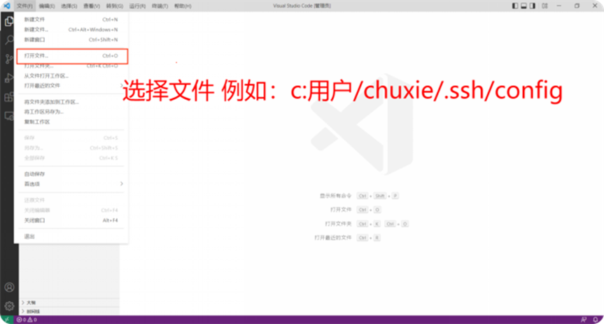 使用 VSCode 工具连接 JumpServer 资产 - FIT2CLOUD 知识库
